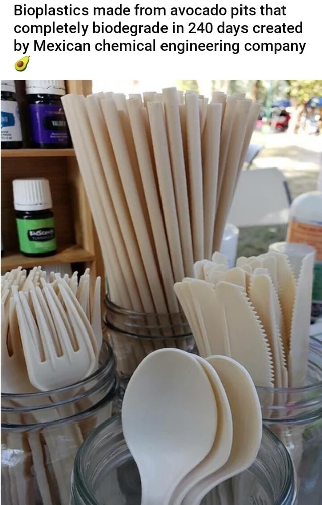 Bioplastics made from avocado pits that completely biodegrade in 240 ...