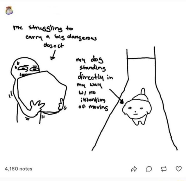 I love my dog :) - Me strugsling +o carey is dangerous my dos Standing ...