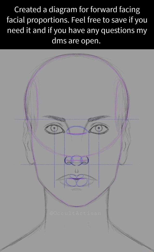 Created a diagram for forward facing facial proportions. Feel free to ...