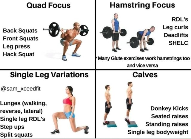 Quad Focus Hamstring Focus RDL's Back Front Squats Squats of Leg curls ...