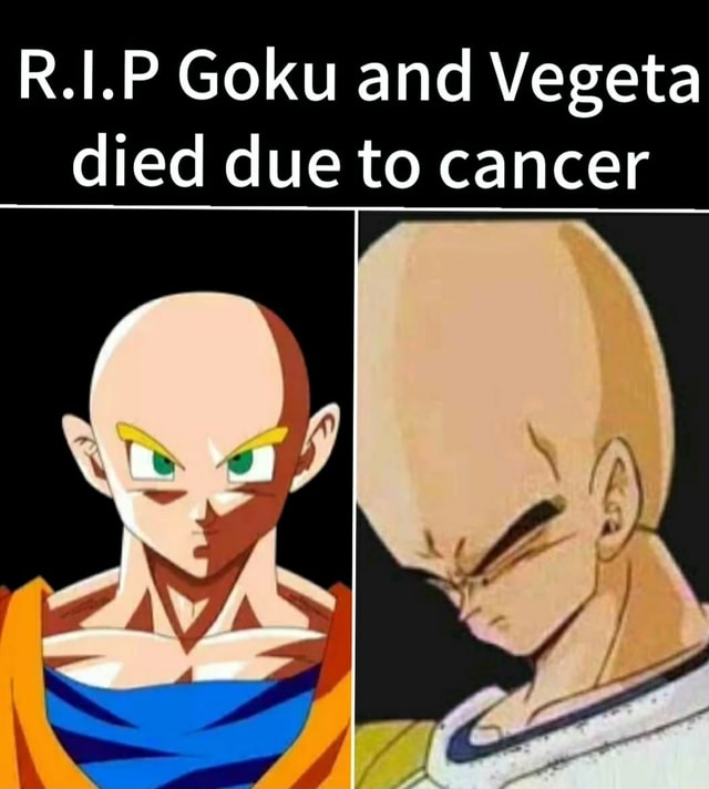 R.I.P Goku and Vegeta died due to cancer - iFunny