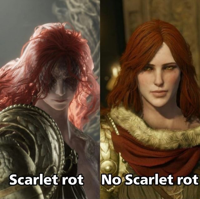 Scarlet rot No Scarlet rot - iFunny