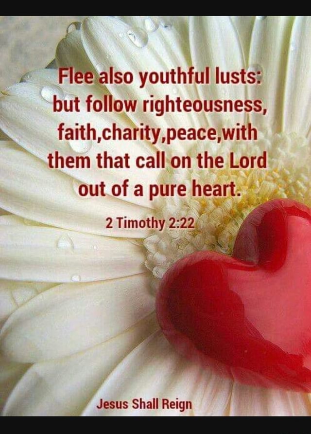 Cet 4 also youthful lusts: but follow righteousness, I faith, with them ...