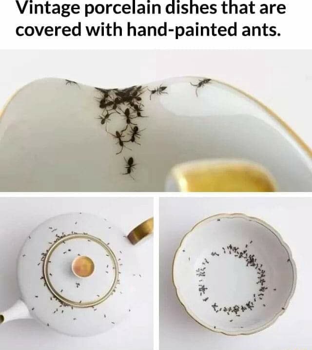 Vintage porcelain dishes that are covered with hand-painted ants. - iFunny