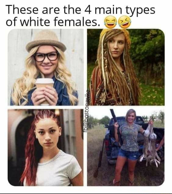 These are the 4 main types of white females. - iFunny