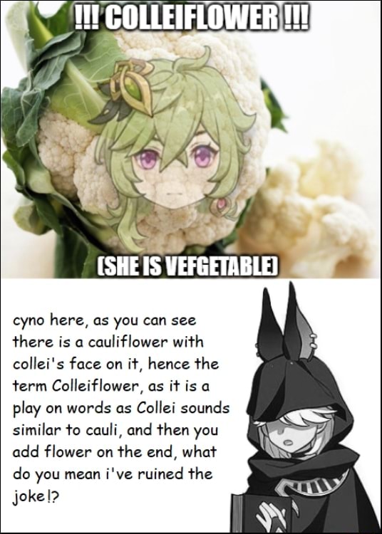 COLLEIFLOWER (SHE IS VEFGETABLE) cyno here, as you can see there is a ...