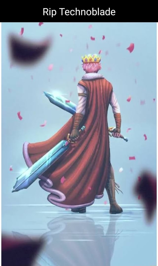 Rip Technoblade - iFunny