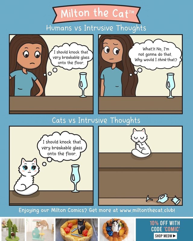 Intrusive thoughts to cats are just thoughts 😹 - Milton the Humans vs ...