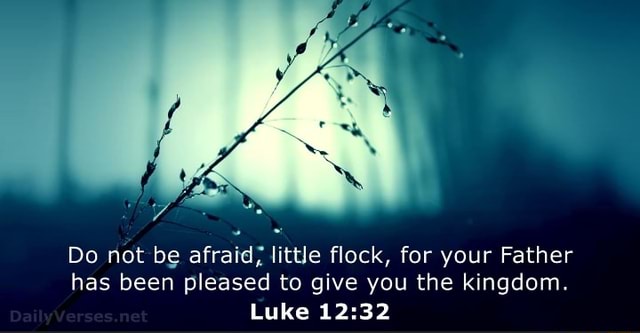 Do not be afraid; little flock, for your Father has been pleased to ...