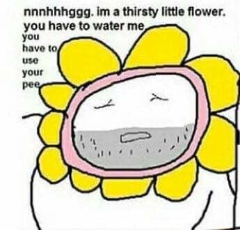 A thirsty little flower. you have to water me, - iFunny