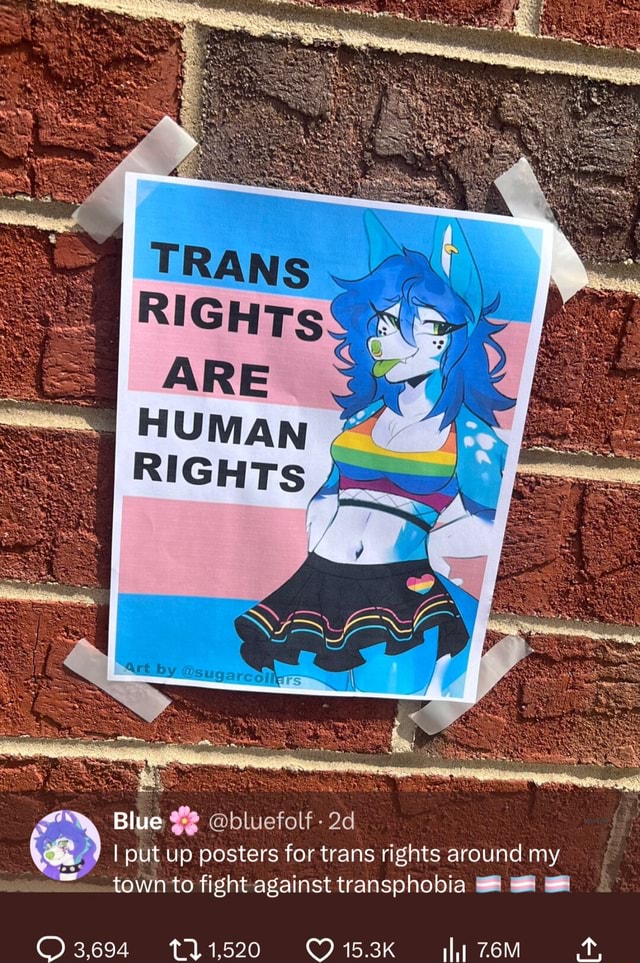 Blue @bluefolf I put up posters for trans rights around my town to ...