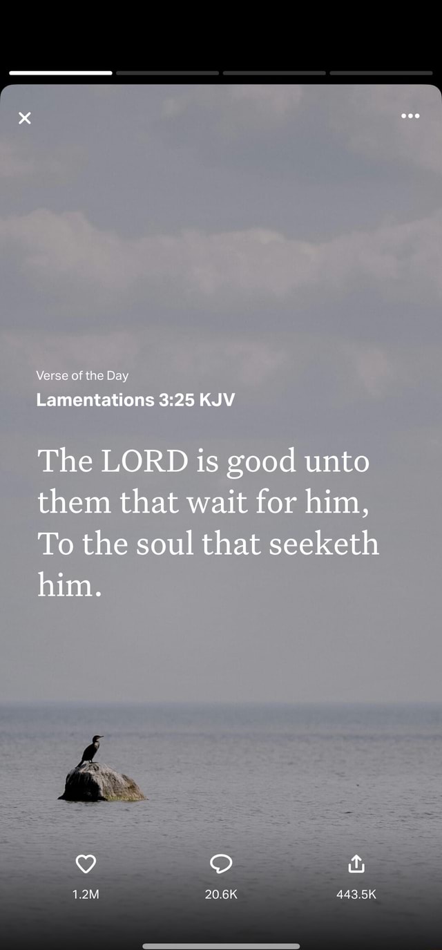 Verse of the Day Lamentations The LORD is good unto them that wait for ...