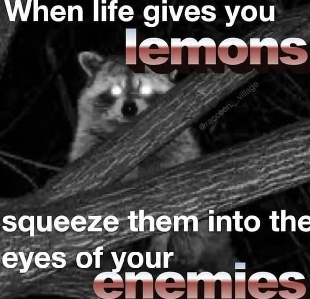 When life gives you lemons squeeze them into the eyes of your - iFunny