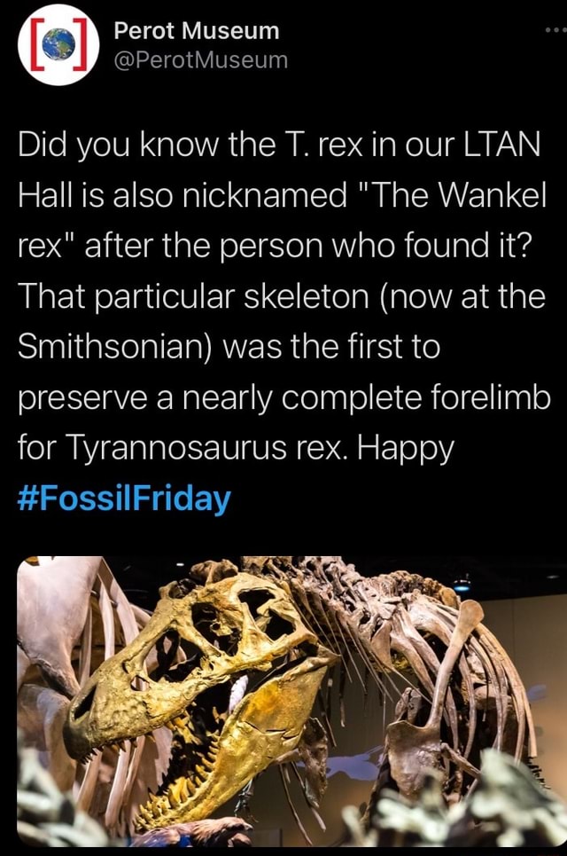 Did you know the T. rex in our LTAN Hall is also nicknamed "The Wankel ...