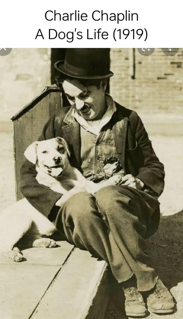 Charlie Chaplin A Dog's Life (1919) - WP. 'I "2 - iFunny
