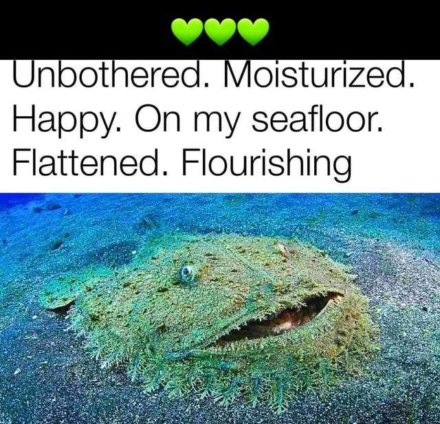 Unbothered. Moisturized. Happy. On my seafloor. Flattened. Flourishing ...