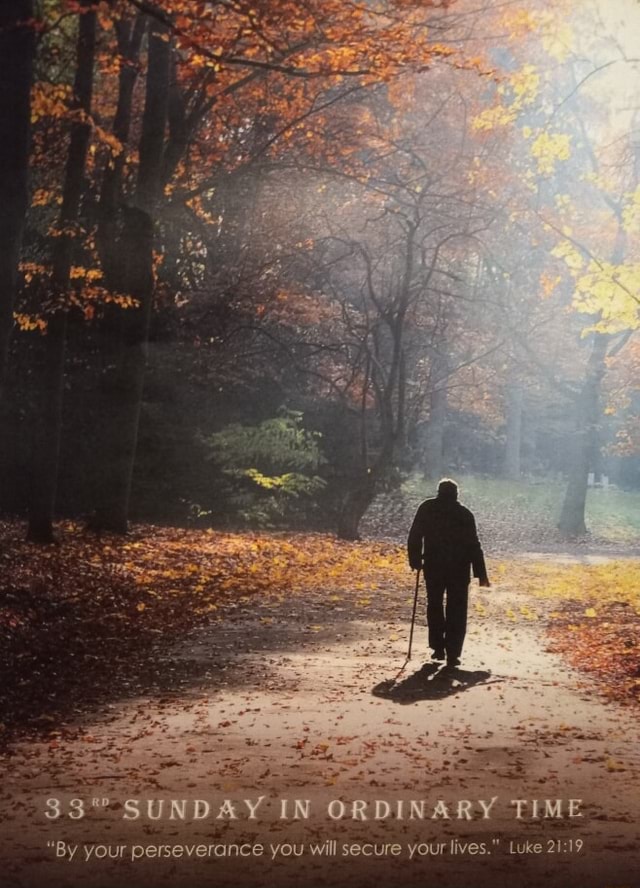 Be SUNDAY IN ORDINARY TIME "By your perseverance you will secure your ...