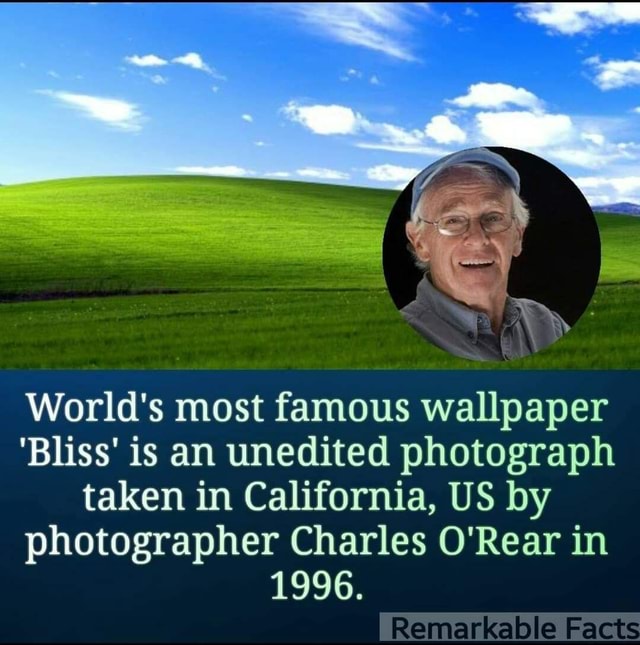 World's most famous wallpaper 'Bliss' is an unedited photograph taken ...