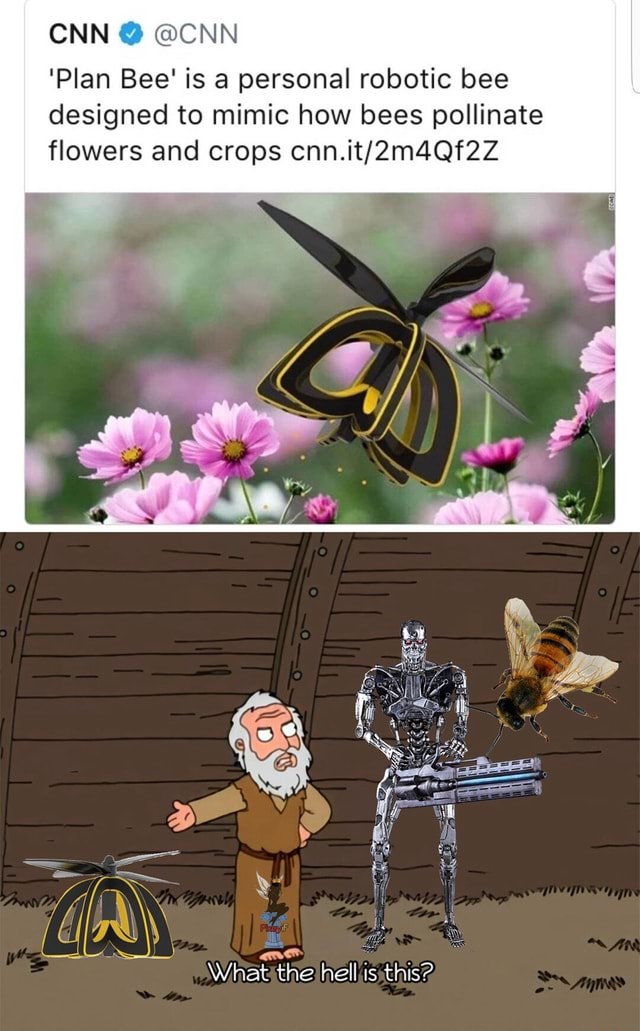 CNN @ @CNN 'Plan Bee' is a personal robotic bee designed to mimic how ...
