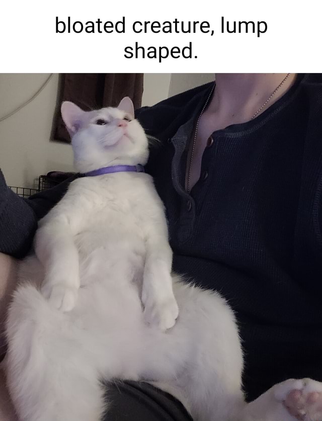 Bloated creature, lump shaped. - iFunny
