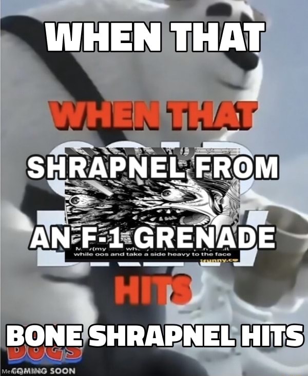 WHEN THAT SHRAPNEL.FROM AN GRENADE BONE SHRAPNEL HITS SOON - iFunny