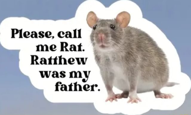 Please, call me Rat. Ratthew was my father. - iFunny