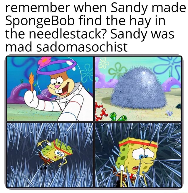 Remember when Sandy made SpongeBob find the hay in the needlestack ...