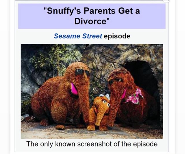 "Snuffy's Parents Get a Divorce" Sesame Street episode ON The only ...
