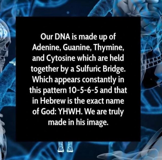 Our DNA is made up of Adenine, Guanine, Thymine, and Cytosine which are ...