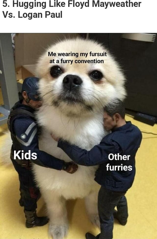 5. Hugging Like Floyd Mayweather Vs. Logan Paul Me wearing my fursuit ...