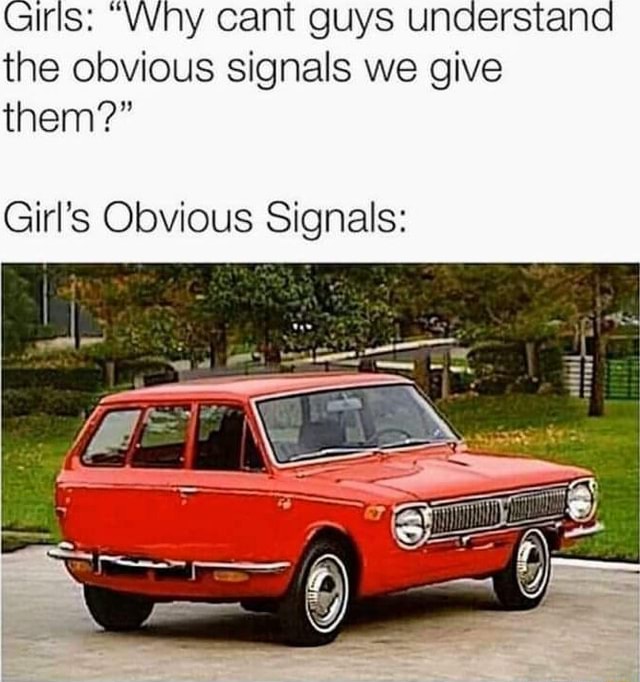 Girls: "Why cant guys understand the obvious signals we give them ...
