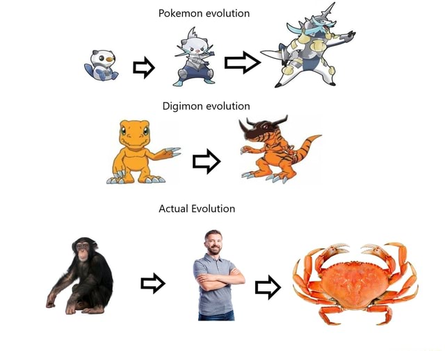 Pokemon evolution Digimon evolution Actual Evolution - iFunny