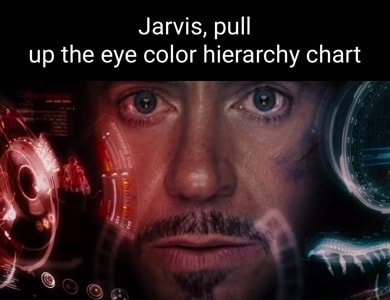 Jarvis, pull up the eye color hierarchy chart - iFunny