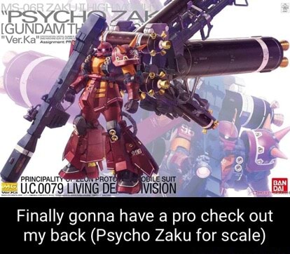 Finally gonna have a pro check out my back (Psycho Zaku for scale) - iFunny
