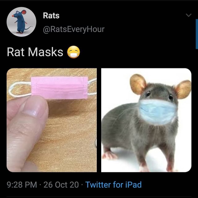 Rat Masks @ PM - 26 Oct 20 - Twitter for iPad - iFunny