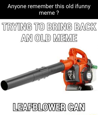 Anyone remember this old ifunny meme ? TRYING TO BRING BACK AN OLD MEME ...