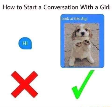 The best ice breaker is a puppy - How to Start a Conversation With a ...