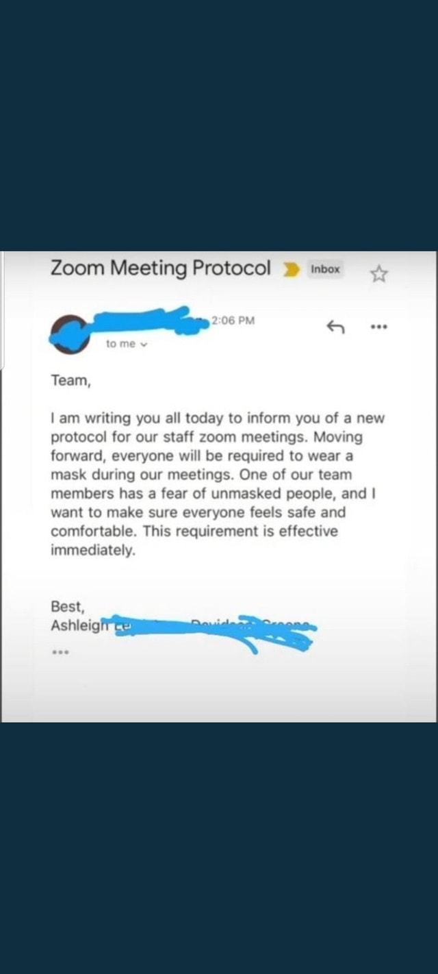 Zoom Meeting Protocol Team, I am writing you all today to inform you of ...