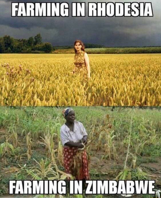 FARMING IN RHODESIA FARMING IN ZIMBABWE - iFunny