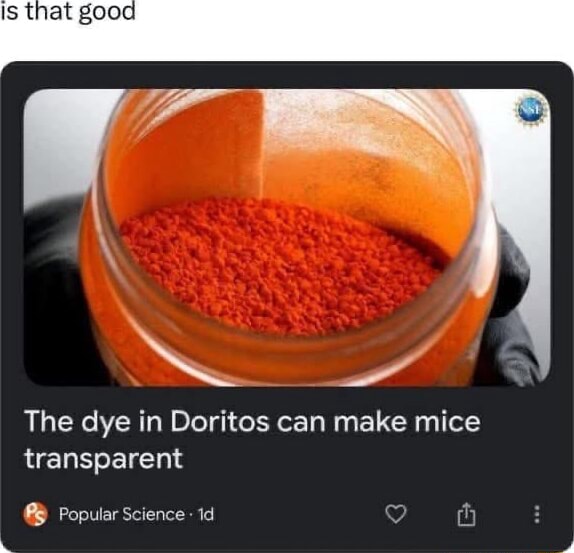 IS that good The dye in Doritos can make mice transparent Popular ...