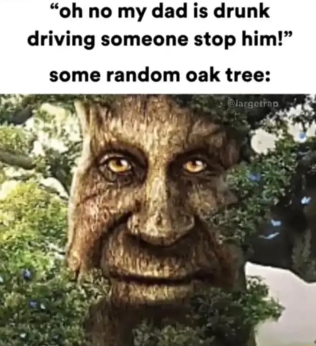"oh no my dad is drunk driving someone stop him!" some random oak tree ...