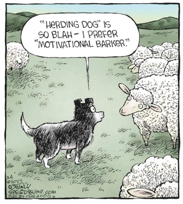 HERDING DOG IS SO BLAH I PREFER MOTIVATIONAL BARKER" fa- - iFunny