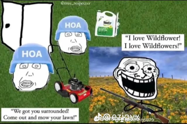 Tree_tespecter "T love Wildflower! I love Wildflowers!" We gor you ...