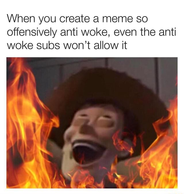 When you create a meme so offensively anti woke, even the anti woke ...