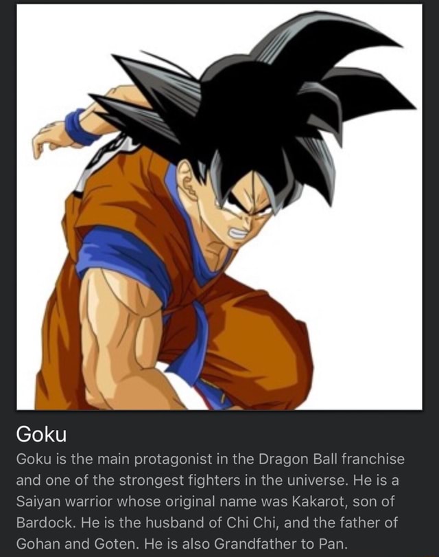 Goku Goku is the main protagonist in the Dragon Ball franchise and one ...