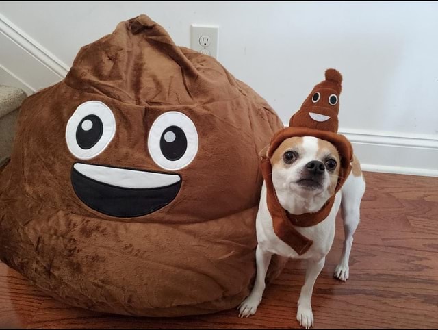 I pooped in the house so i wear my poop hat and I will poop again. # ...