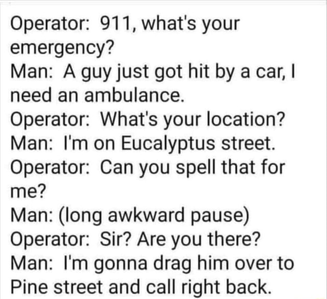 Operator: 911, what's your emergency? Man: A guy just got hit by a car ...
