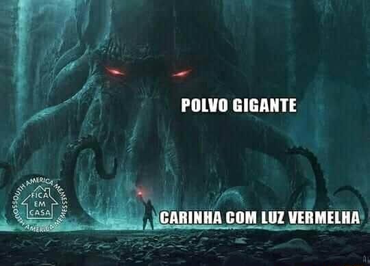 POLVO GIGANTE - iFunny