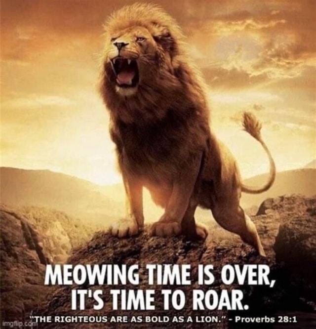 "MEOWING MEOWING TIME IS OVER, IT'S TIME TO ROAR. SJHE RIGHTEOUS ARE AS ...