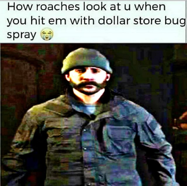 How roaches look at u when you hit em with dollar store bug Spray - iFunny